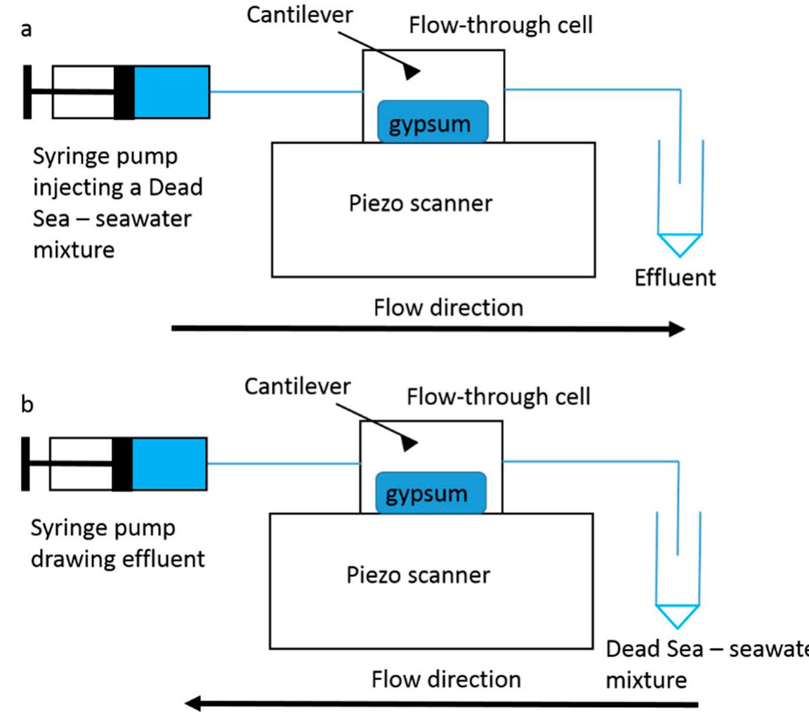 Schematic representation of an in-situ flow-through growth