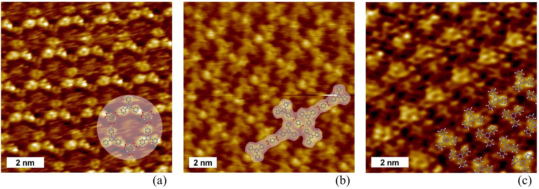 Stm images of the emerging structures: (a) liquid-solid stm