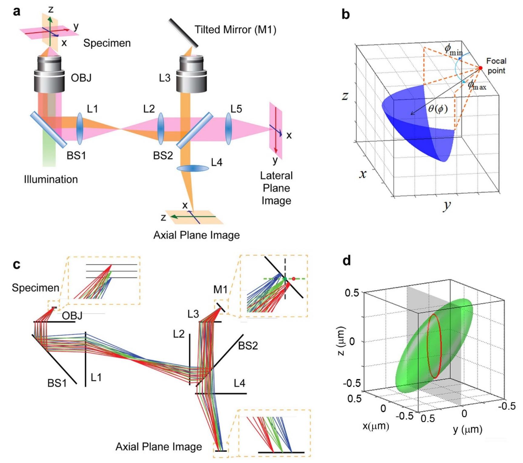 | optical setup and principle of the apom. (a) schematic of
