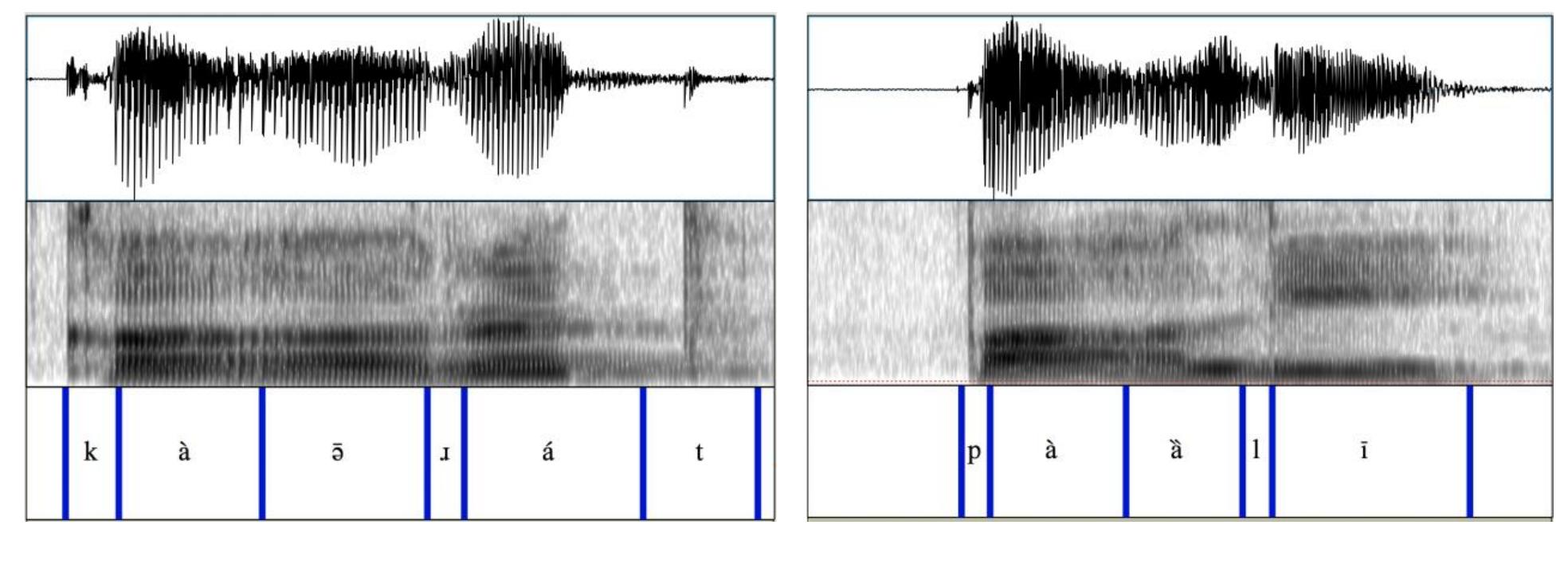Figure 12 - Liangmai phonology: An overview