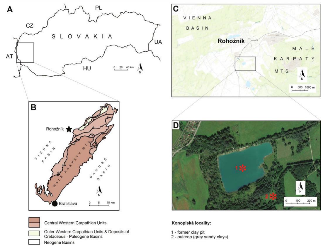 A: location of the eastern part of the vienna basin in