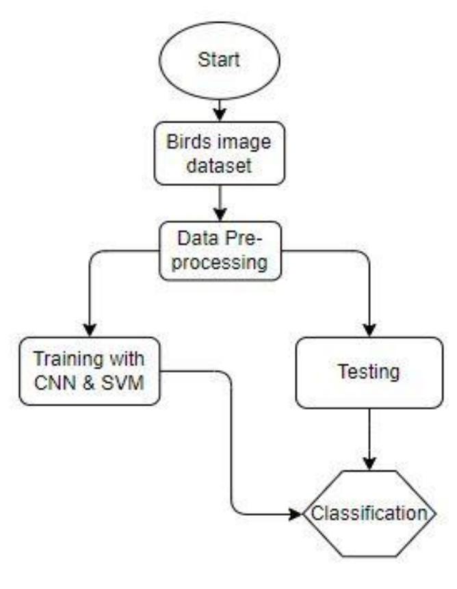 Flowchart illustrating the suggested approach Flowchart illustrating the suggested approach