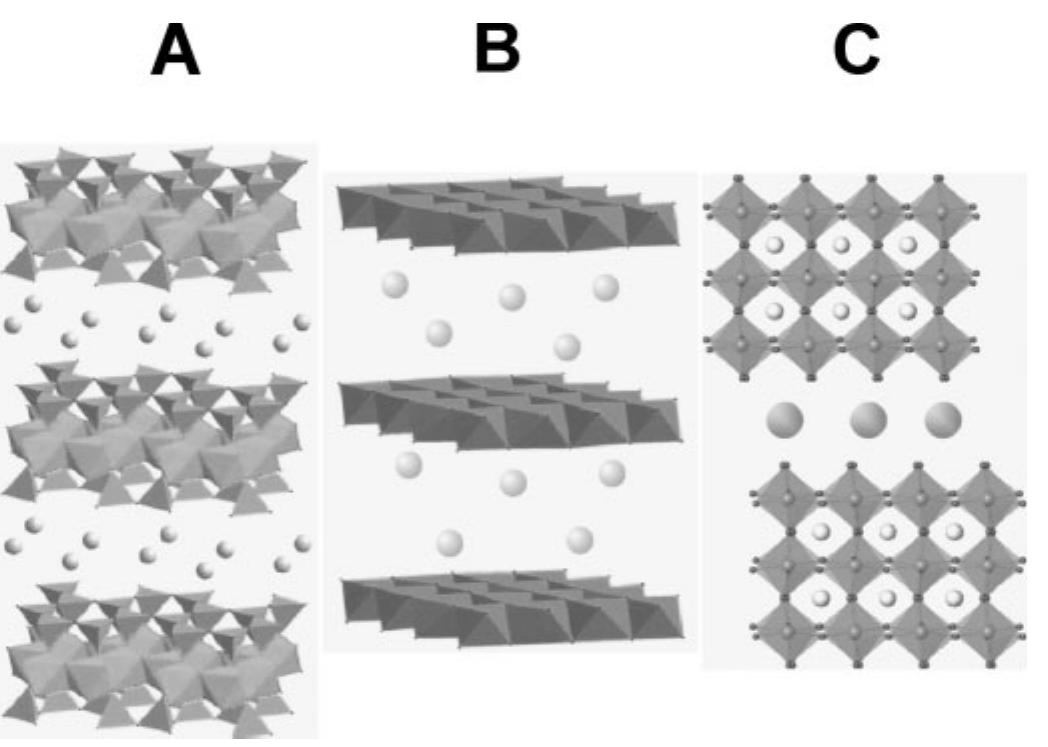 1 schematic representation of typical structures of (a)