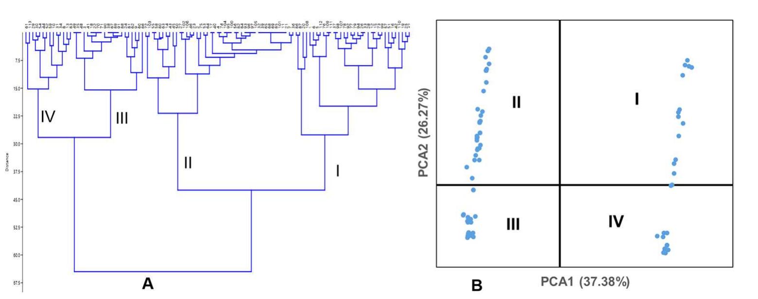 Dendogram and principal component analysis (pca) of tested