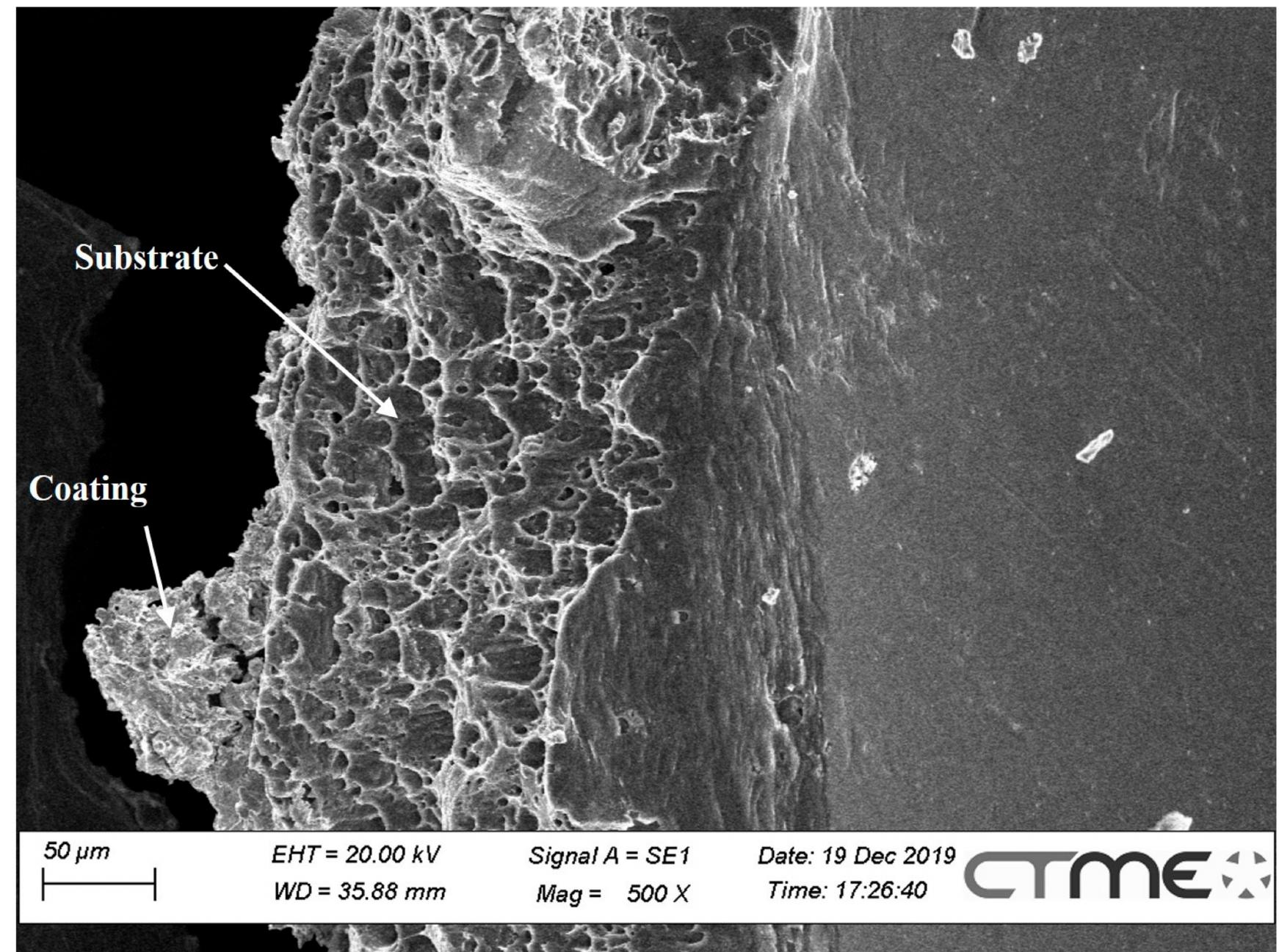 Sem image of the observed ductile fracture in the substrate
