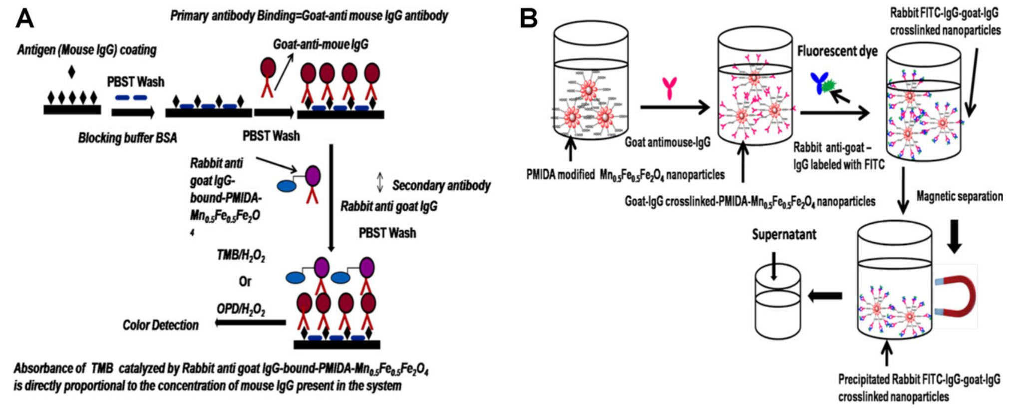 (a) schematic representation of the employed in