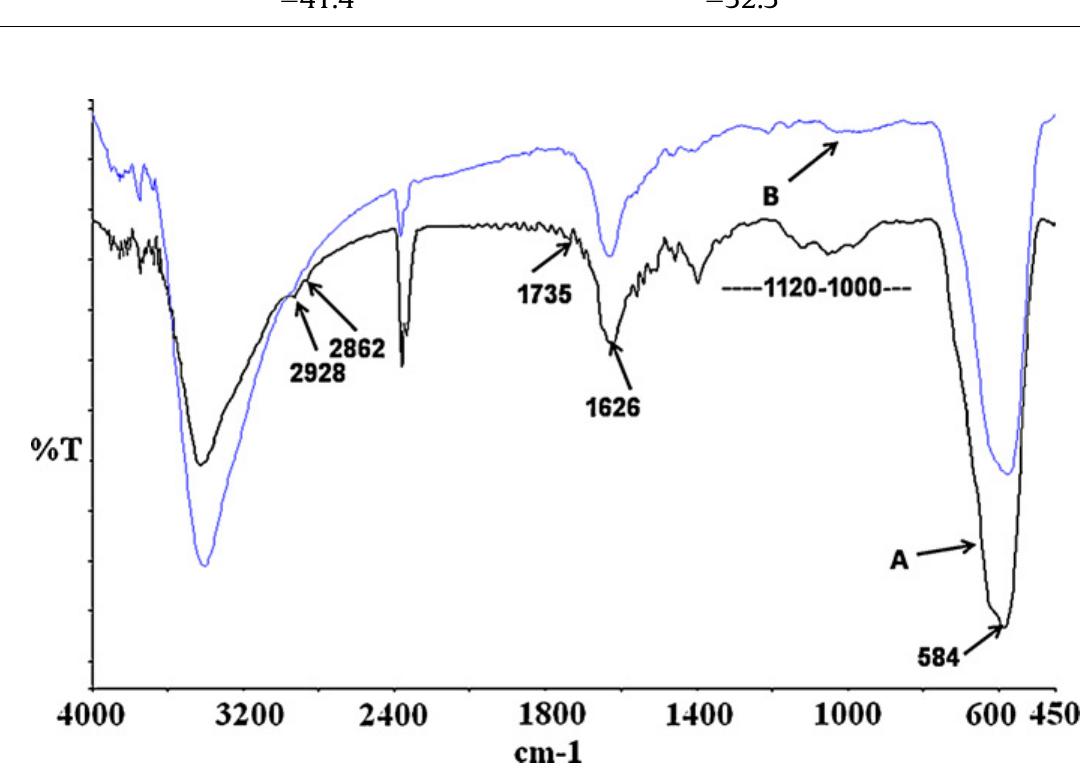 Ft-ir spectra of (a) pmida-fep,5mno.5fe20, and (b) bare