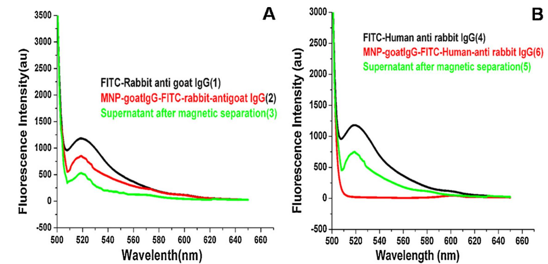 Representations of fluorescence spectra of the immunoassay