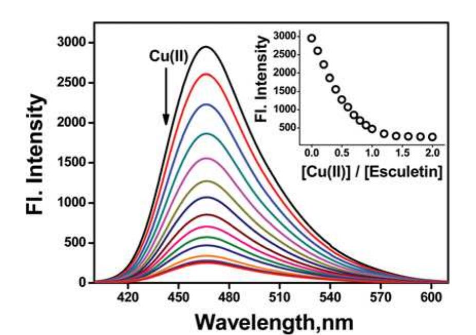 Fluorescence spectra of esculetin (50 um) with cu(i) (65-100