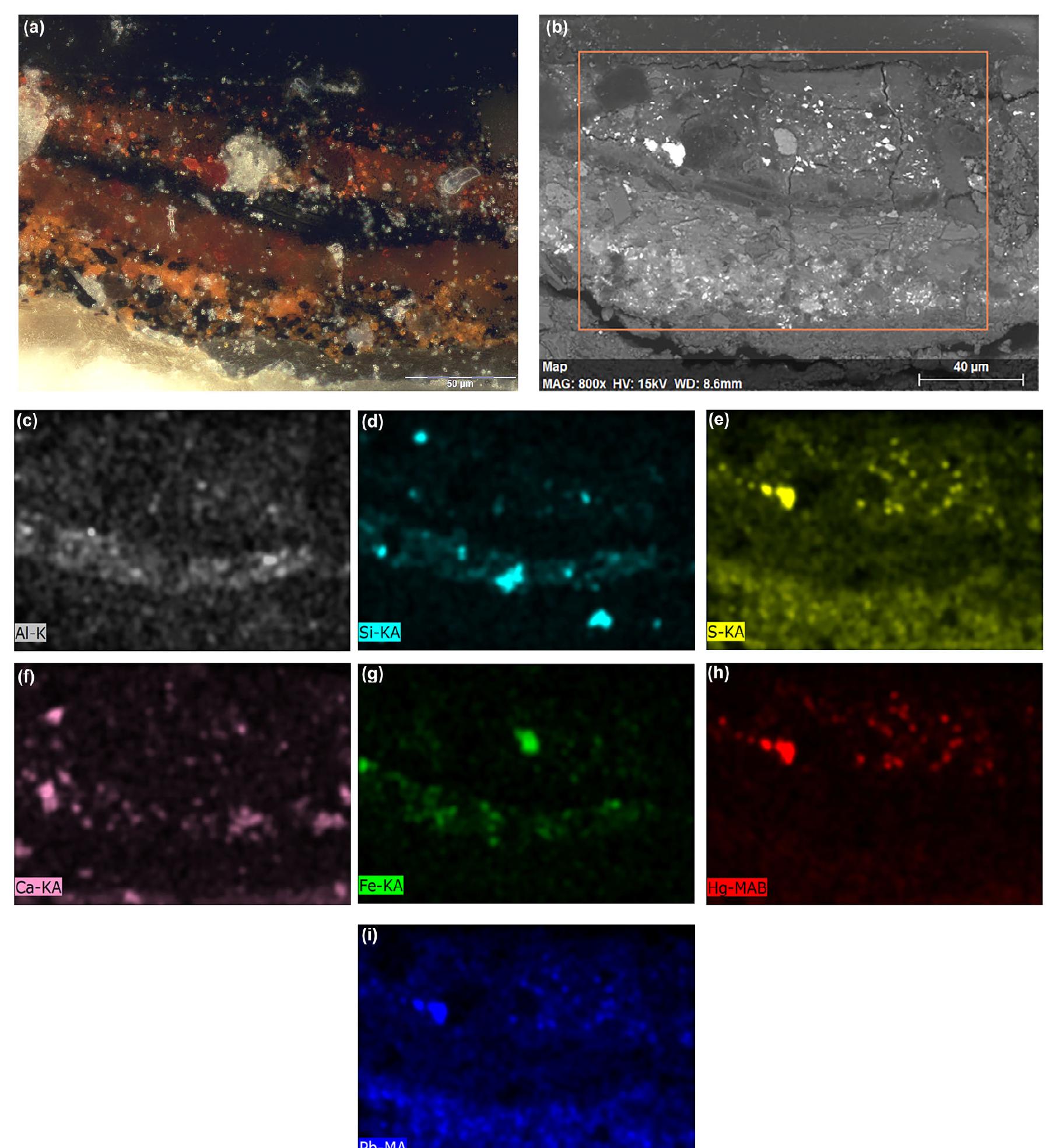 Micrographs of sample mom-b cross-section: (a) plm detail of