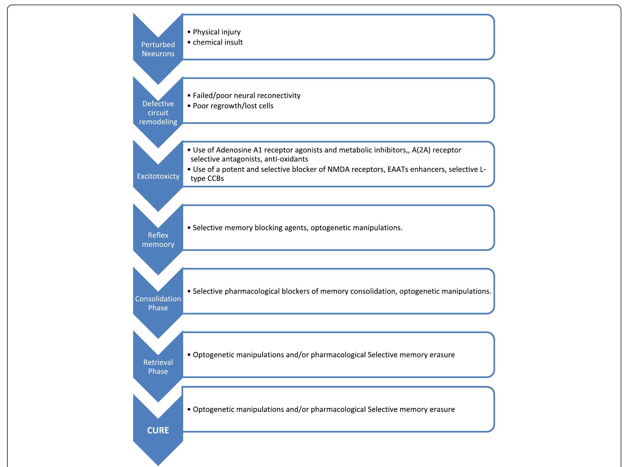 A process diagram showing stages of the reflex memory