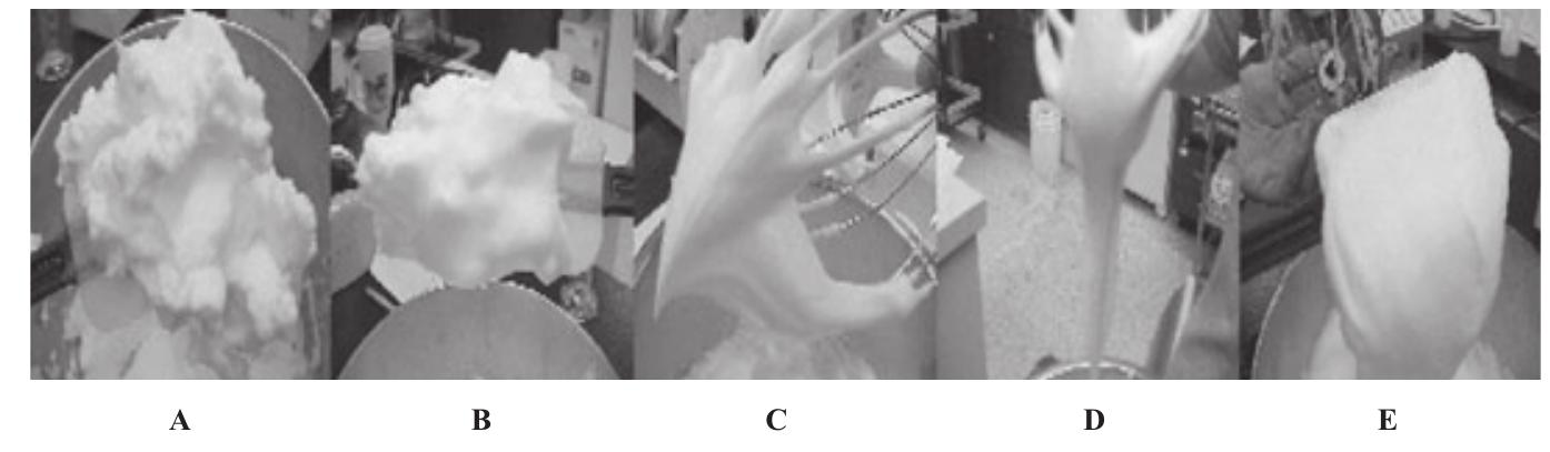 Representative images comparing foams prepared with egg