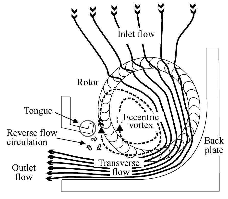 Formation on the flow characters inside the cross-flow