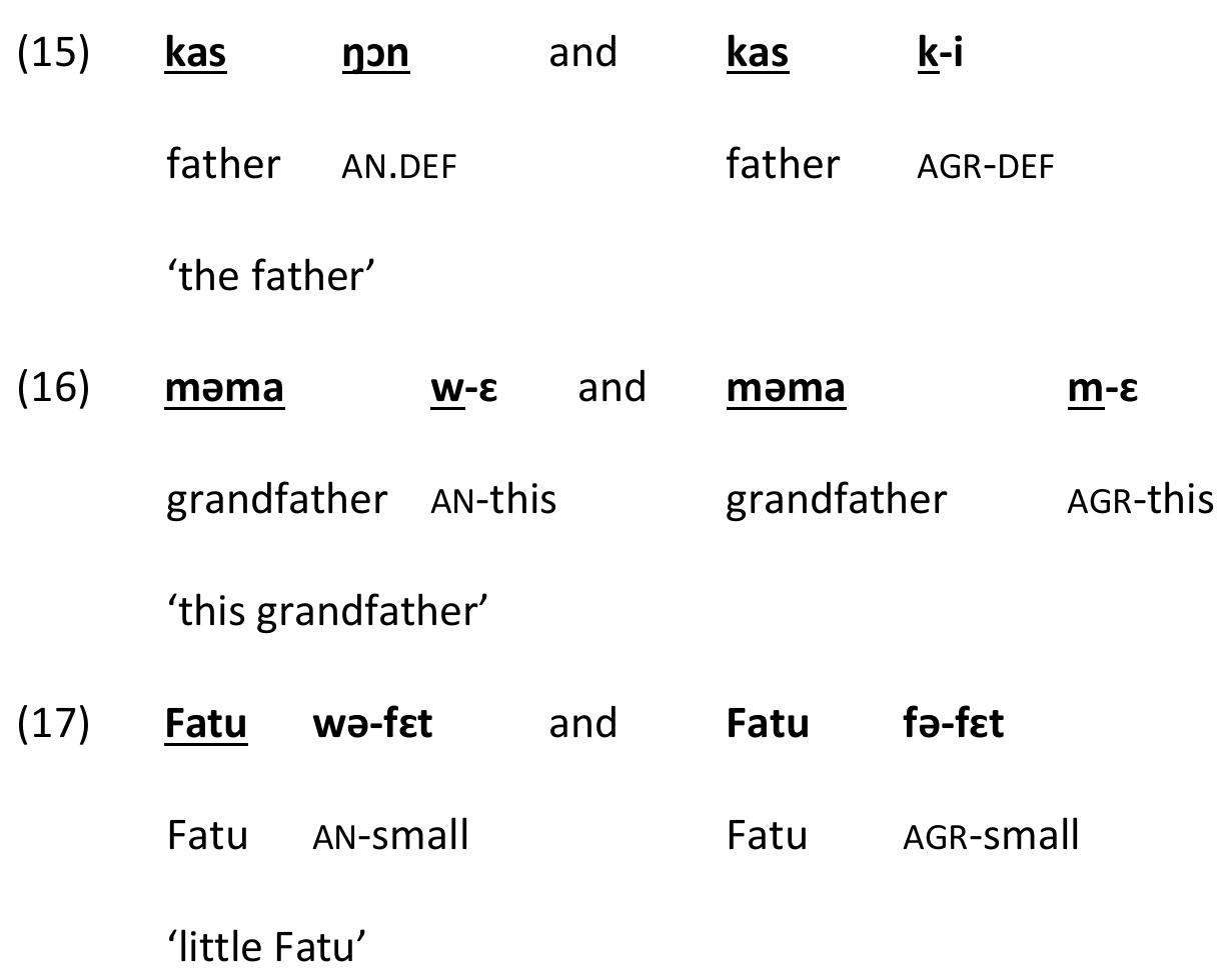Human nouns are common nouns without the prefix wa- that do