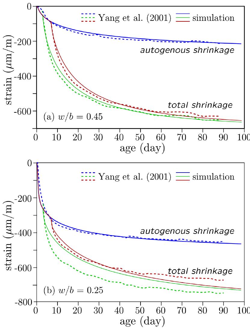 Autogenous and drying shrinkage simulations. the simulated