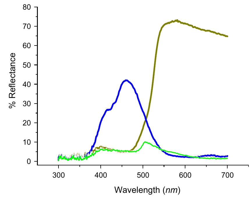 Reflectance spectra of the three paint colors used flower