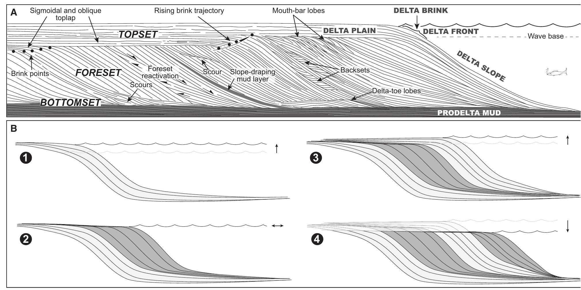 (a) schematic longitudinal cross-section of a gilbert-type