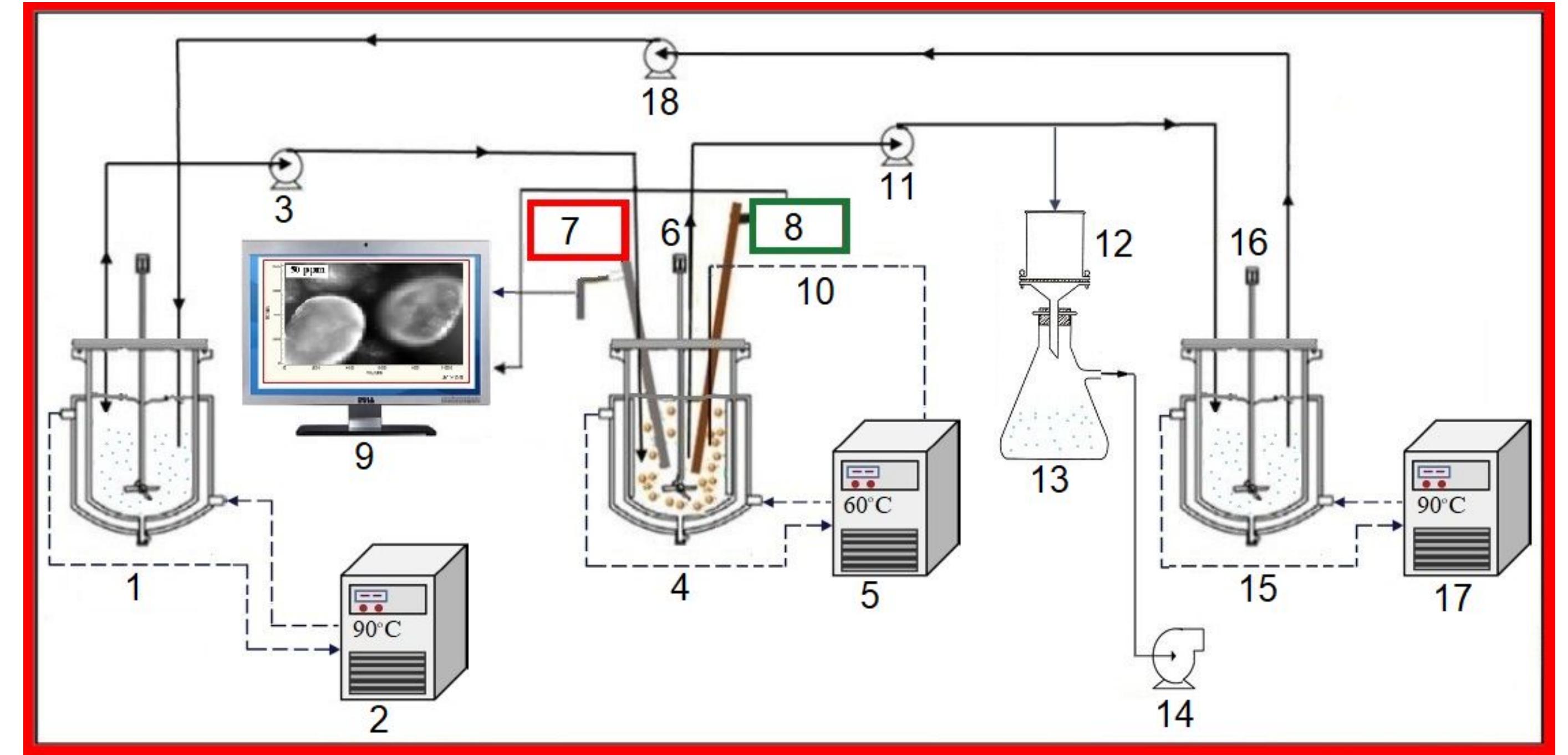 Experimental setup for the crystallization process of boric