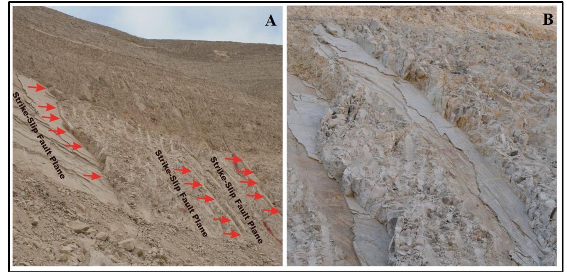 (a) sub-vertical sinistral strike-slip fault zone at the dam