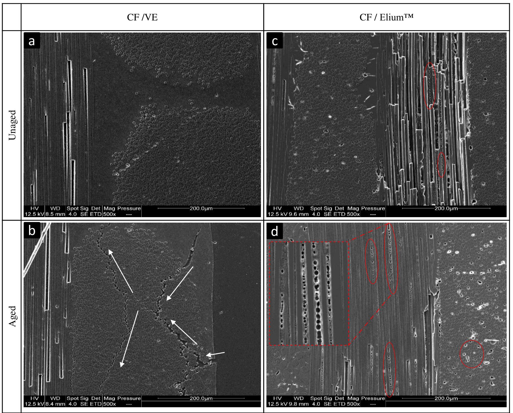 : sem graphs of the cross section surface of both materials