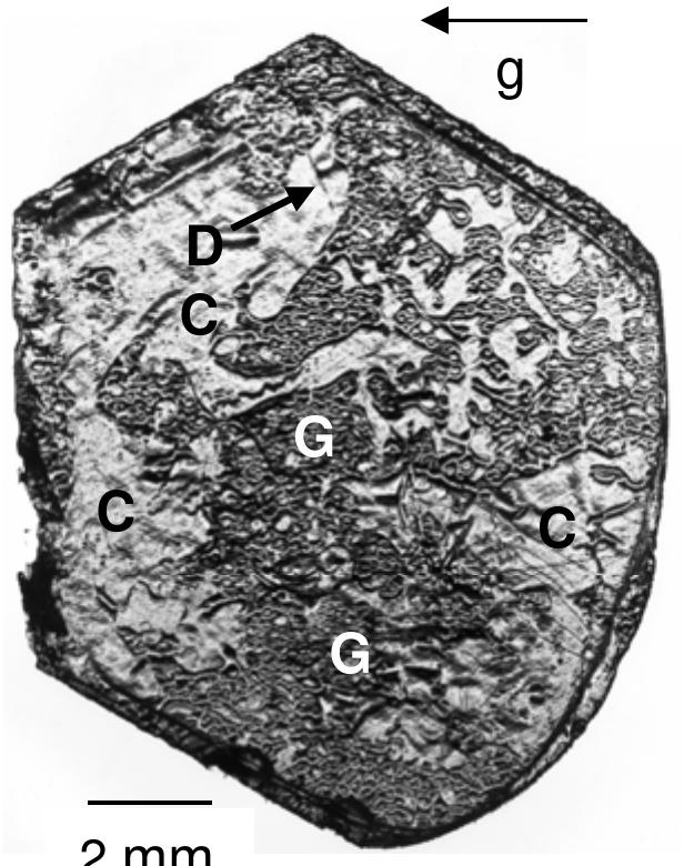 Figure 3 - PVT Growth of 6H SiC Crystals and Defect