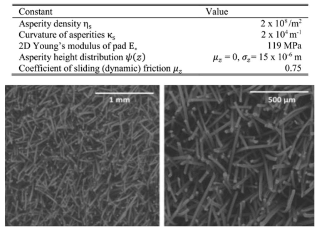 Sem micrographs of the buehler microcloth polishing pad at