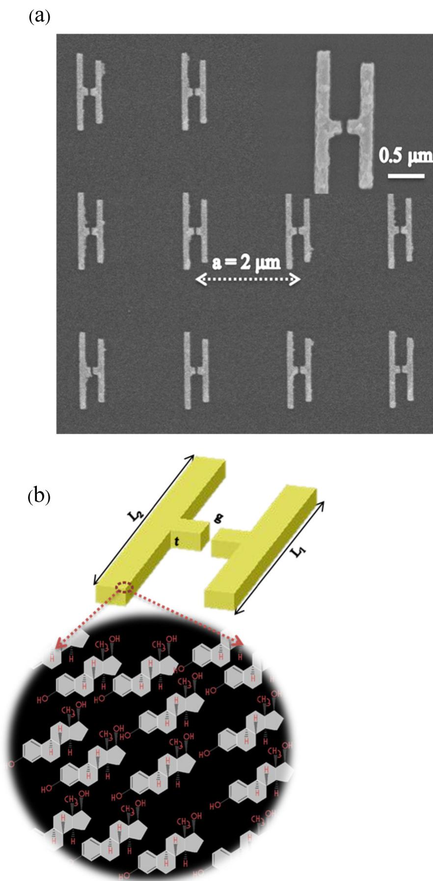 (a) scanning electron microscope (sem) images of ash