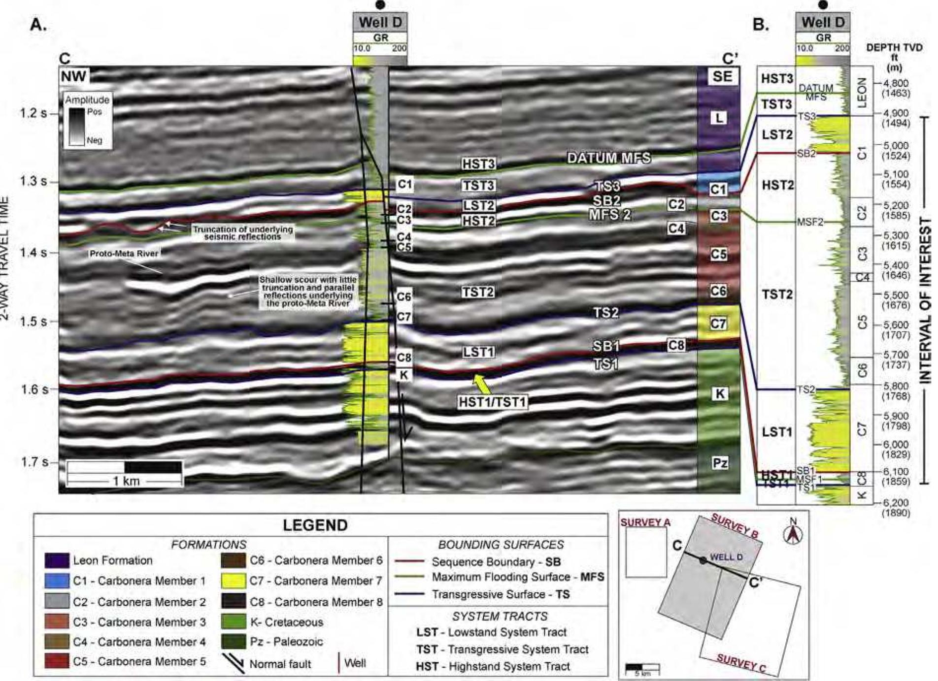 Vertical seismic display showing seismic sequence