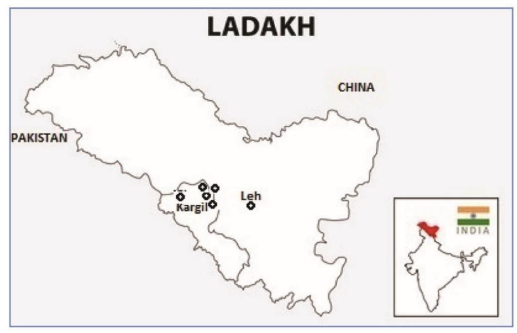 Map of ladakh showing mamani celebrating areas. ladakh