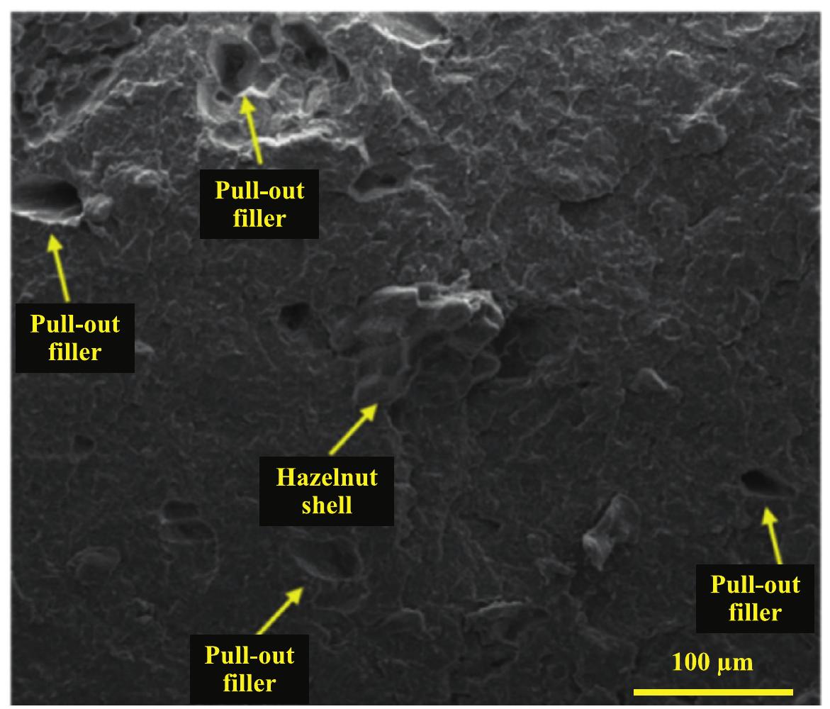 Scanning electron microscopy micrograph showing failed