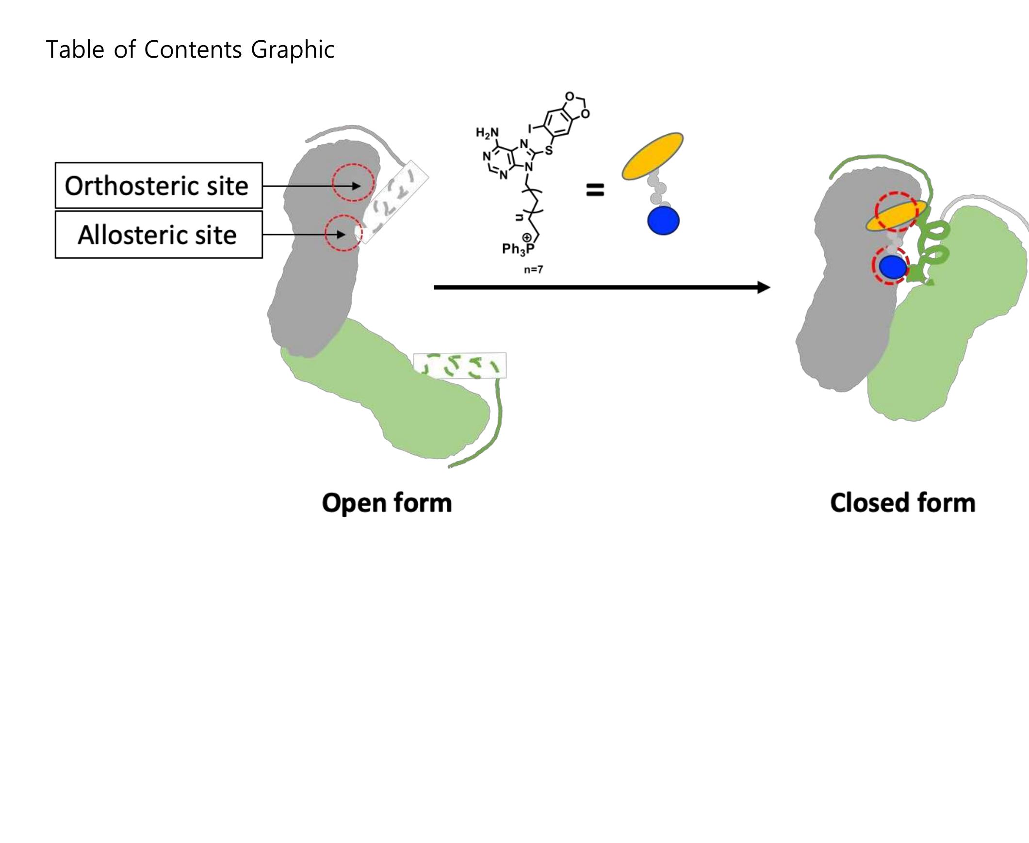 Figure 8 - Dual Binding to Orthosteric and Allosteric Sites Figure 8 - Dual Binding to Orthosteric and Allosteric Sites