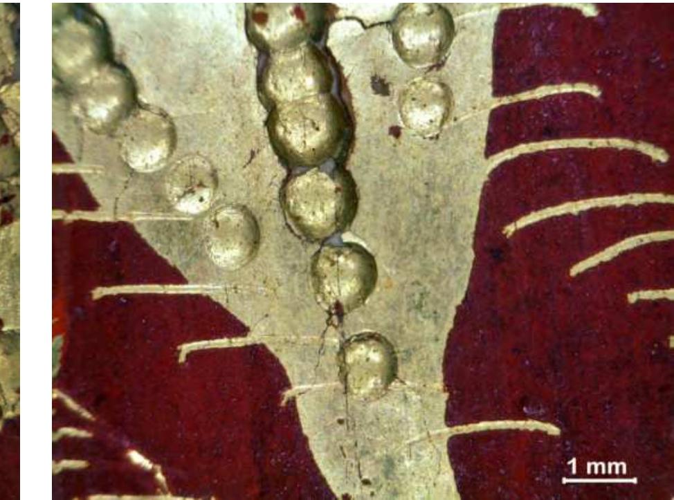 - detail of the overlapping scrape marks over the vegetal