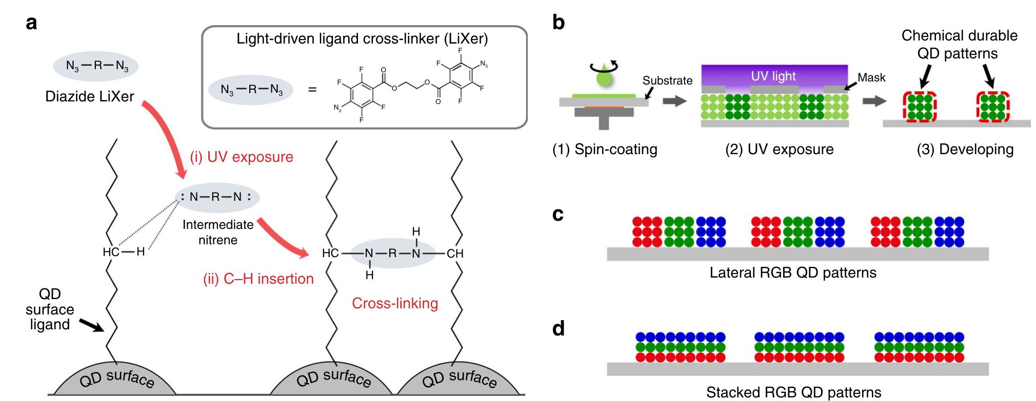 Schematic illustration of qd patterns using lixer. a