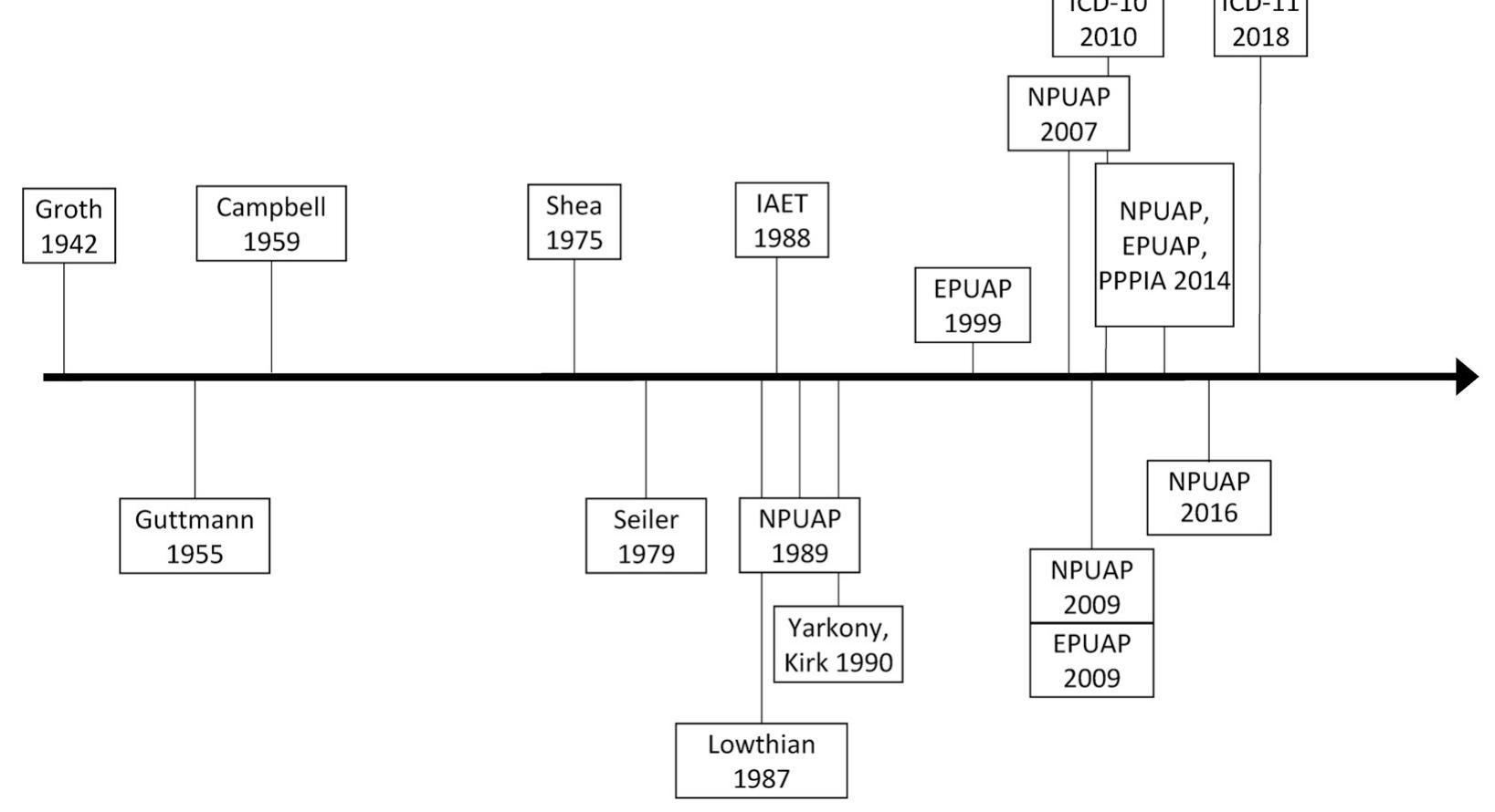 Pressure ulcer/injury classification over time.