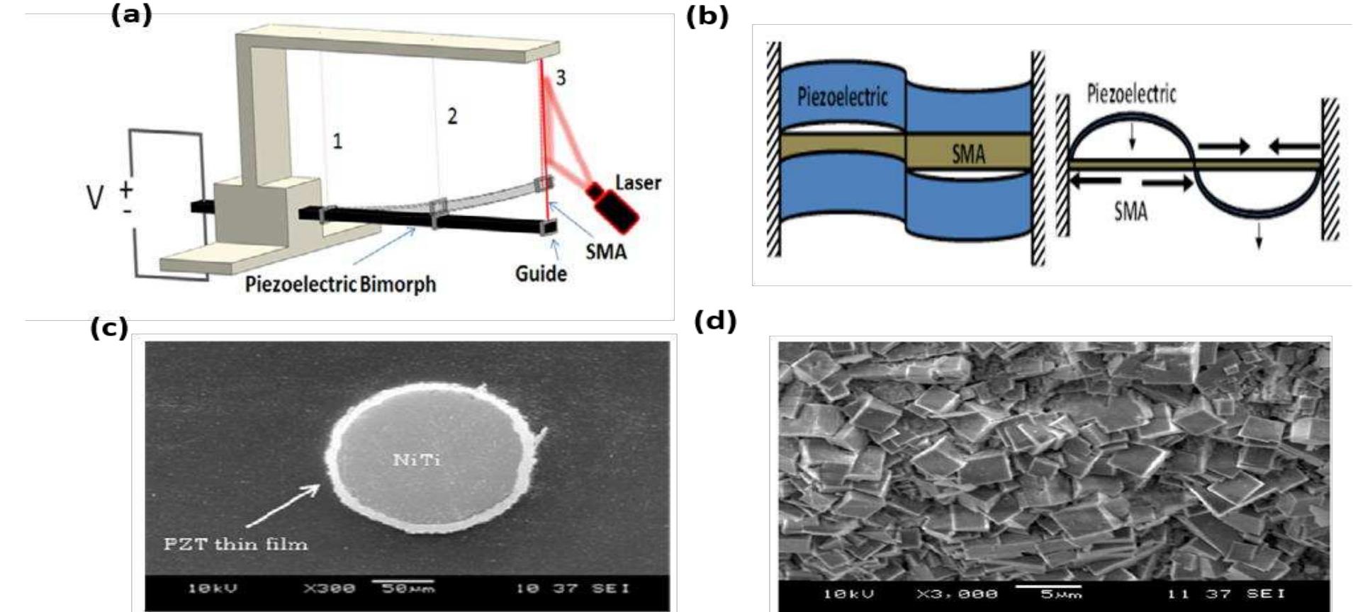 5 (a). schematic diagram showing the piezoelectric bimorph
