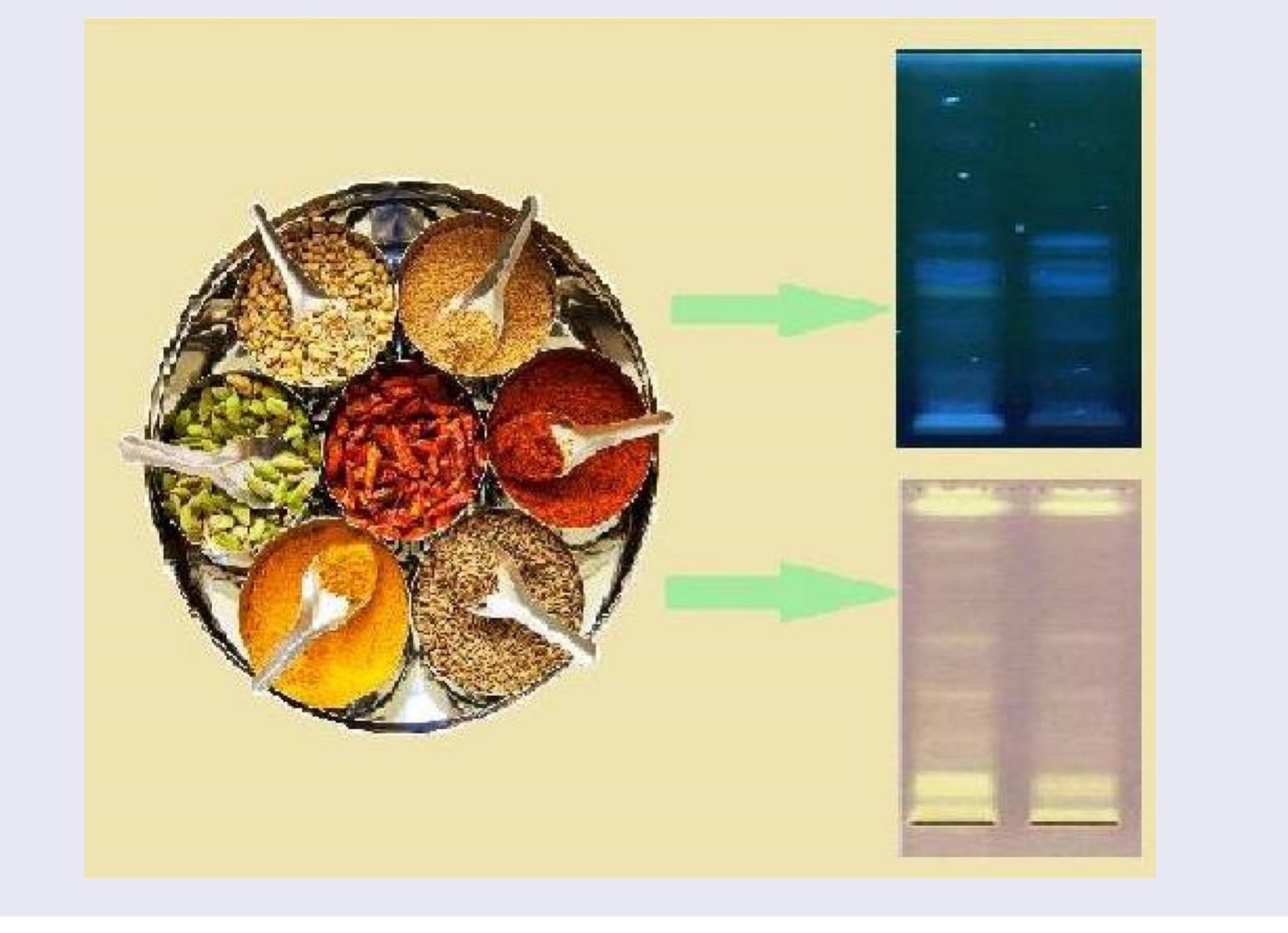 Figure 1 - Thin-layer chromatography in spices analysis