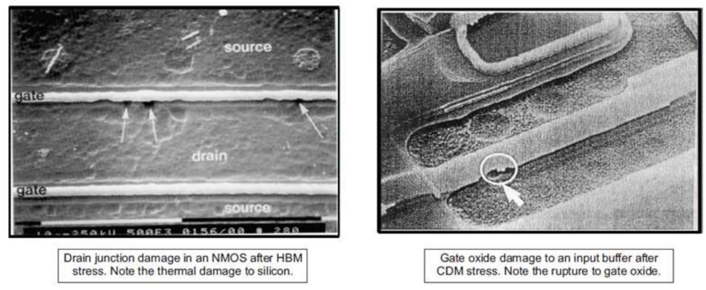 1: esd failure in an ic (a) faliure due to hbm stress (b)