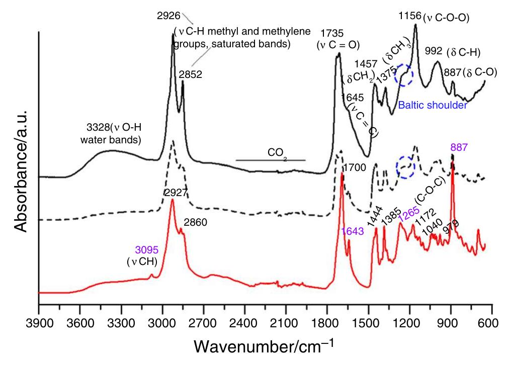 Ftir spectra of a congo copal (red) and baltic amber (black)