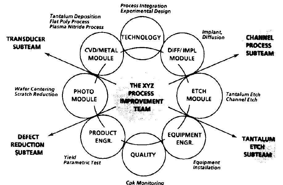 The structure of a process improvement multifunctional team.