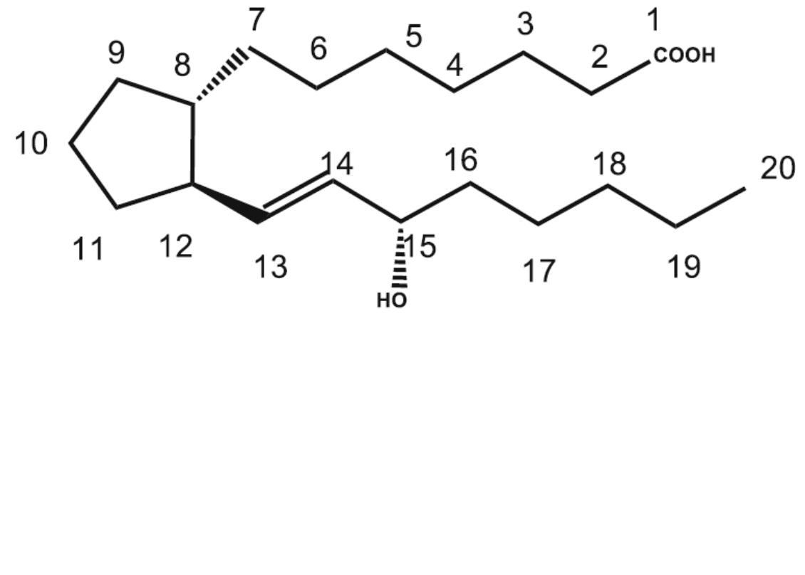The structural formula of a pg prototype. the basic