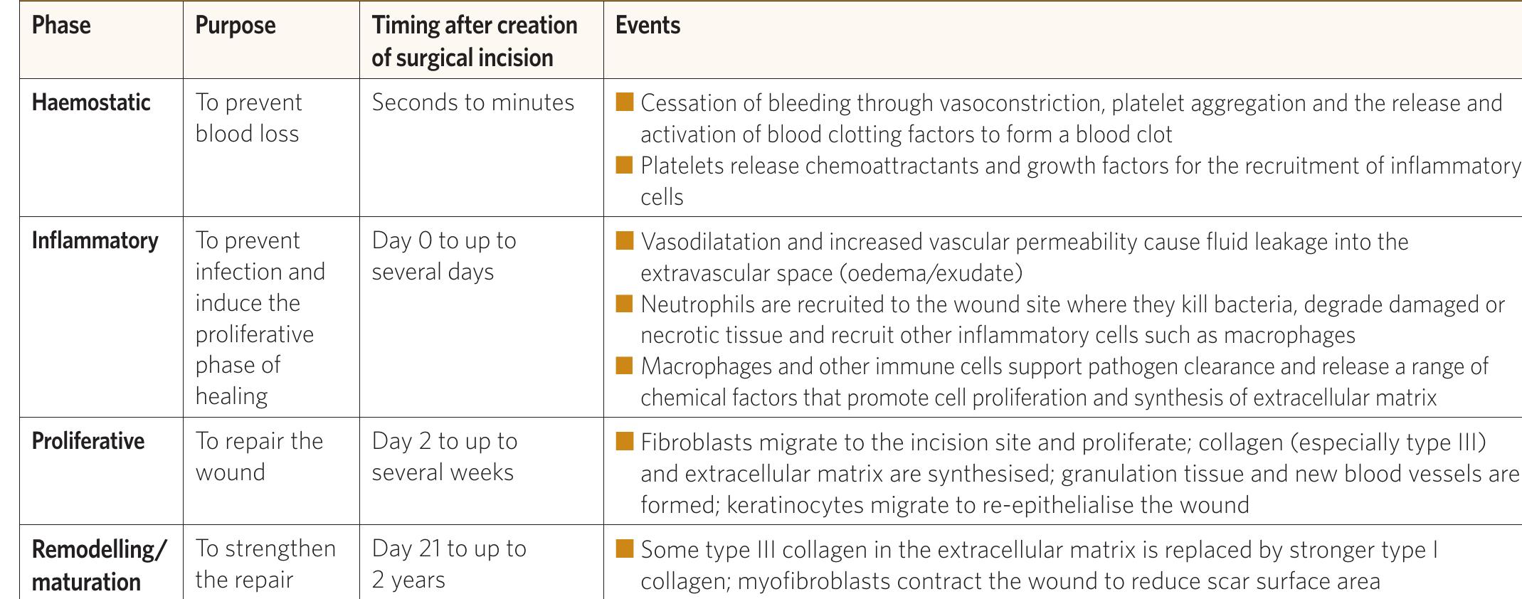 | overview of the phases of wound healing of a surgical