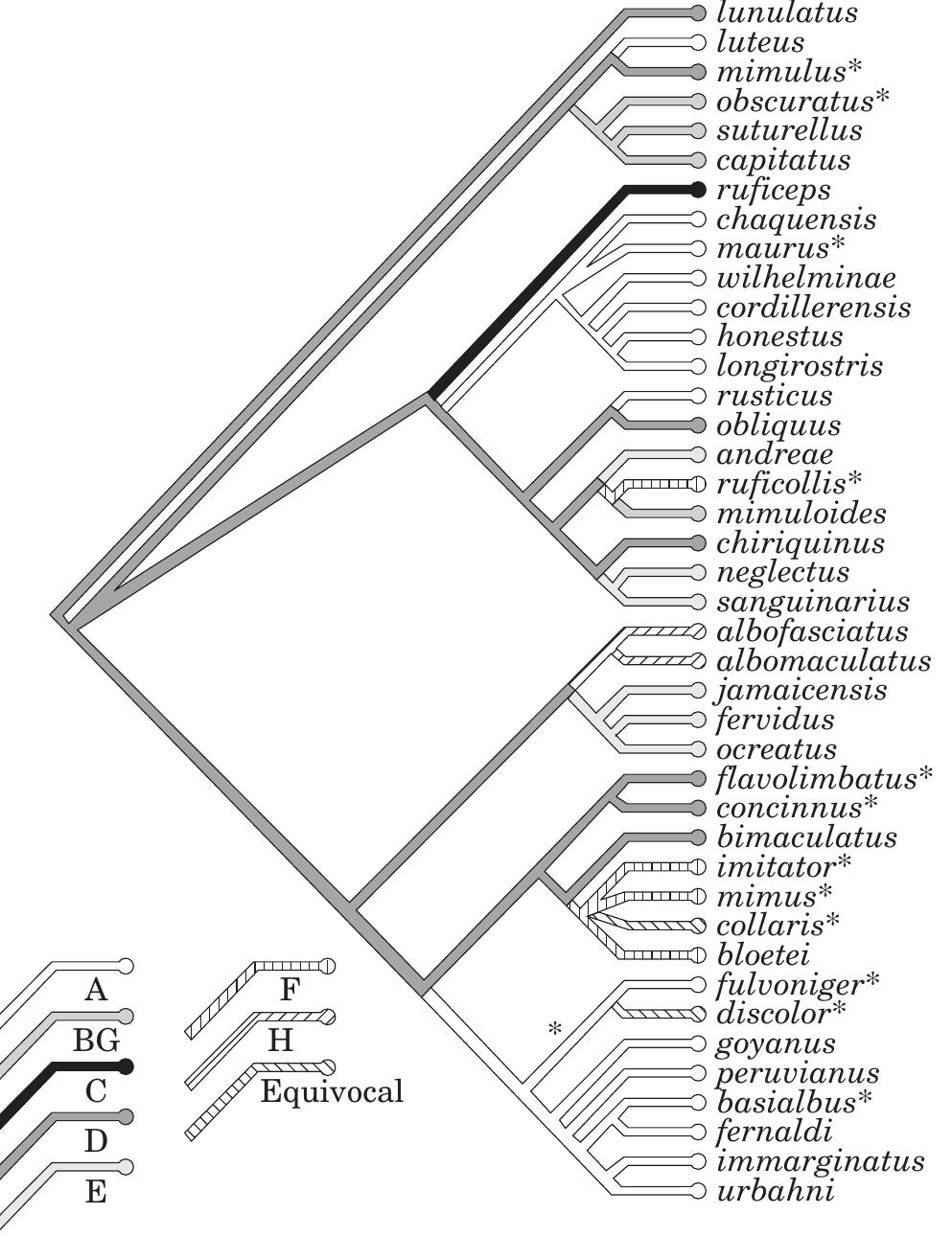 Evolution of coloration types marked by different hatching