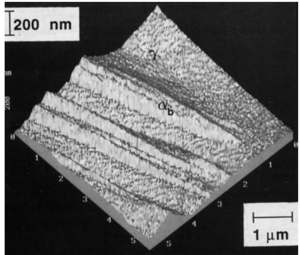 12 atomic force microscope image showing surface relief due