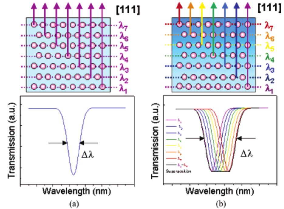 Schematics of the refractive-index-chirped pc structure. (a)