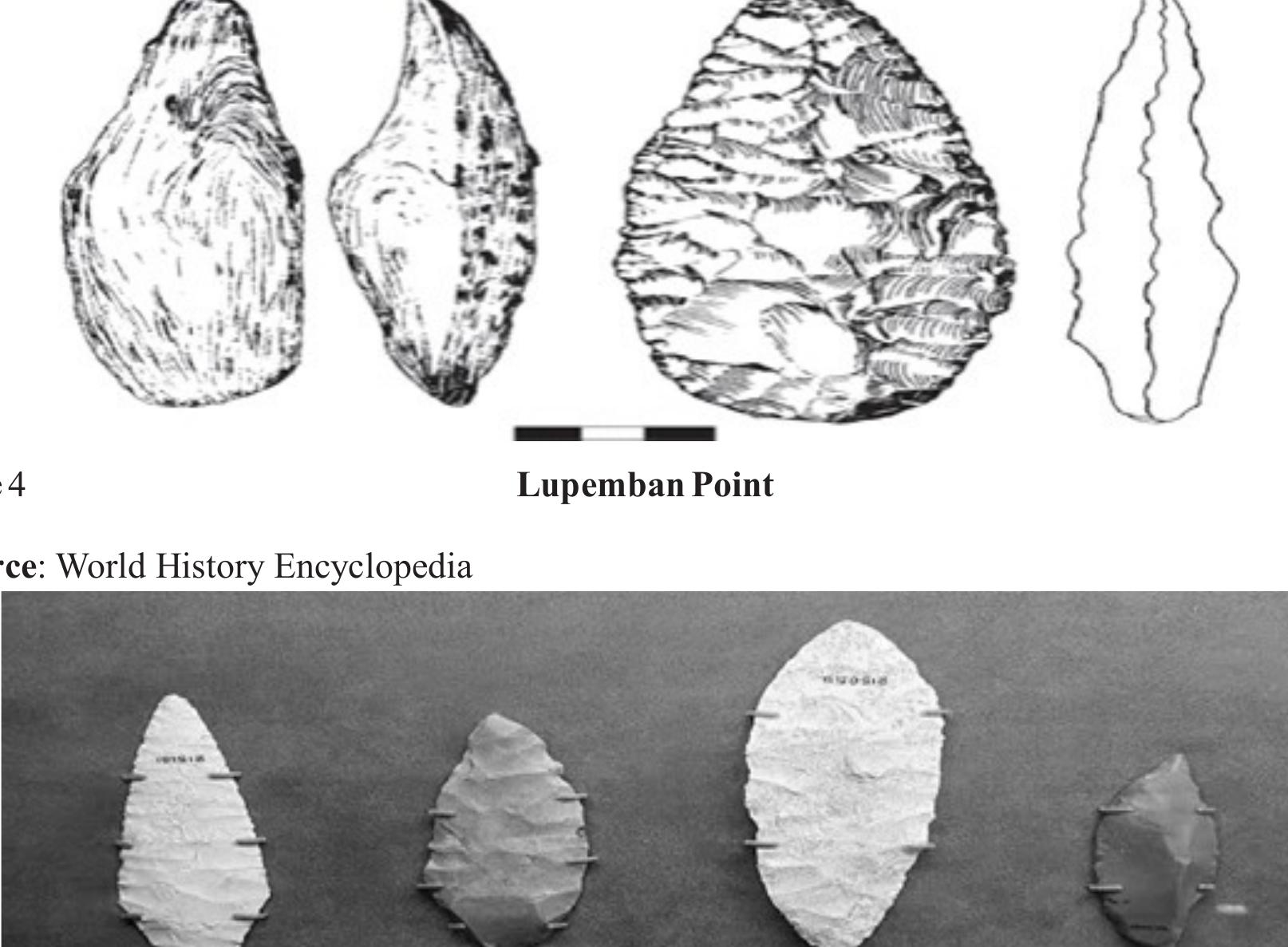 Tells us of waves of migration that carried the handaxe