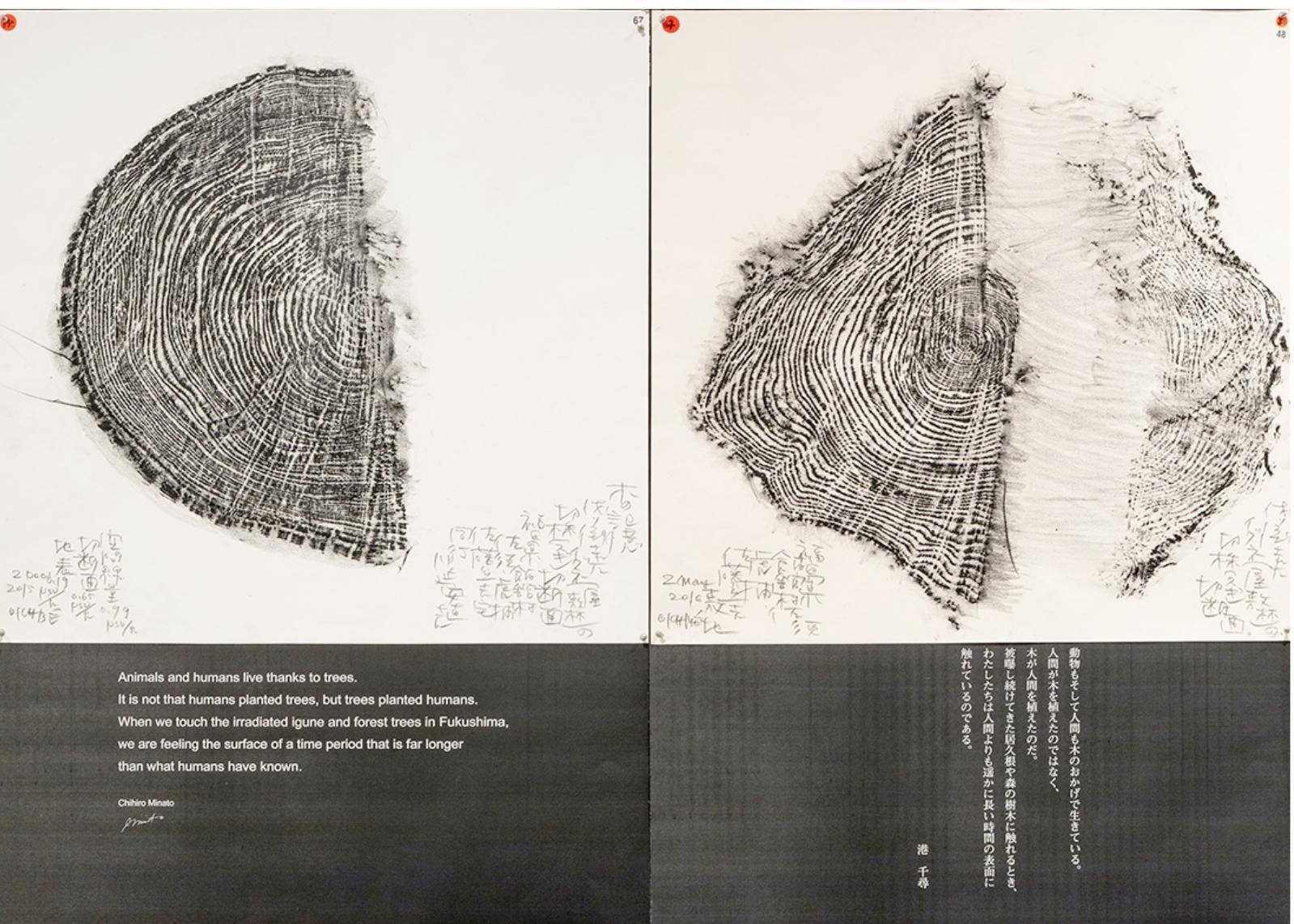 Figure 1 - from Disaster, traces of displacement, and