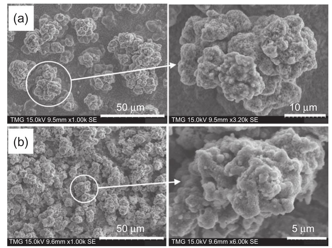 7 sem images of suspension plasma spray samples (aghasibeig