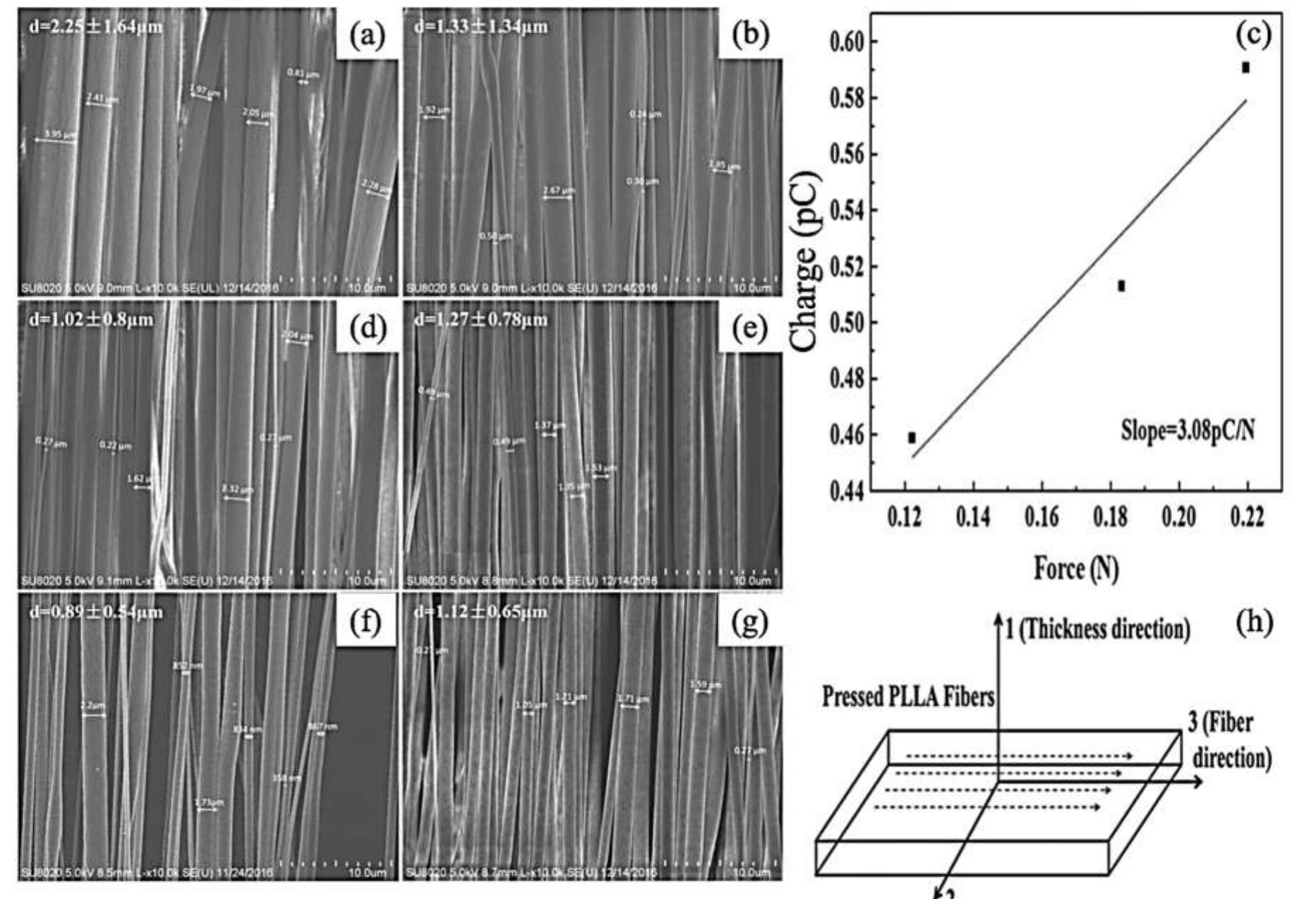 Scanning electron microscope (sem) images of electrospun