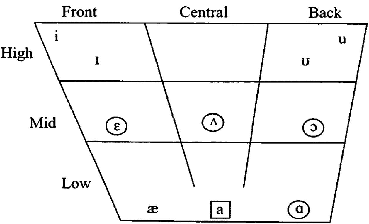 Figure 8 - from Contrastive phonological analysis of Arabic