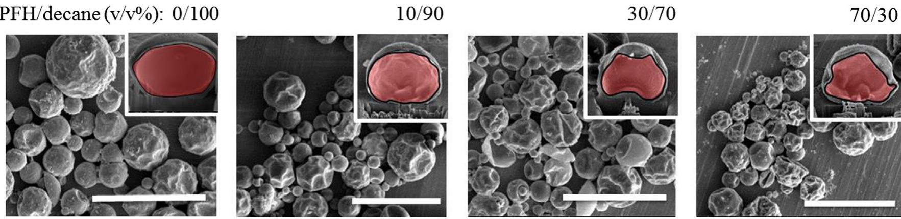 Sem images of the poly(an-c-vdc) microcapsules (shell:core